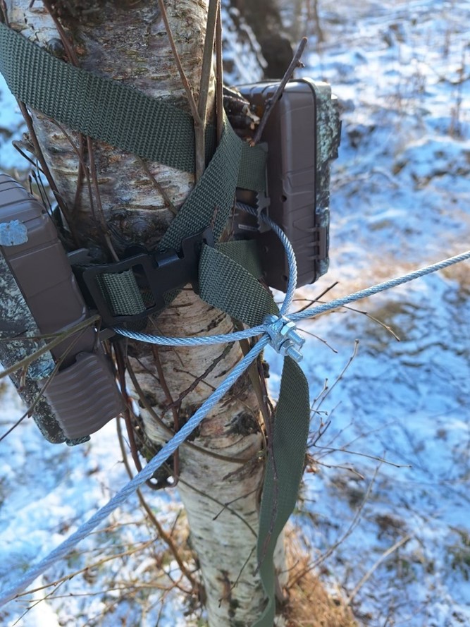 Securing your camera trap (on a tight budget!) – North East Scotland ...